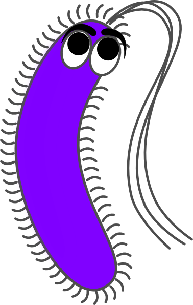 Bacteria Funny Clip Art - Gram Negative Bacilli Cartoon - (378x595) Png ...