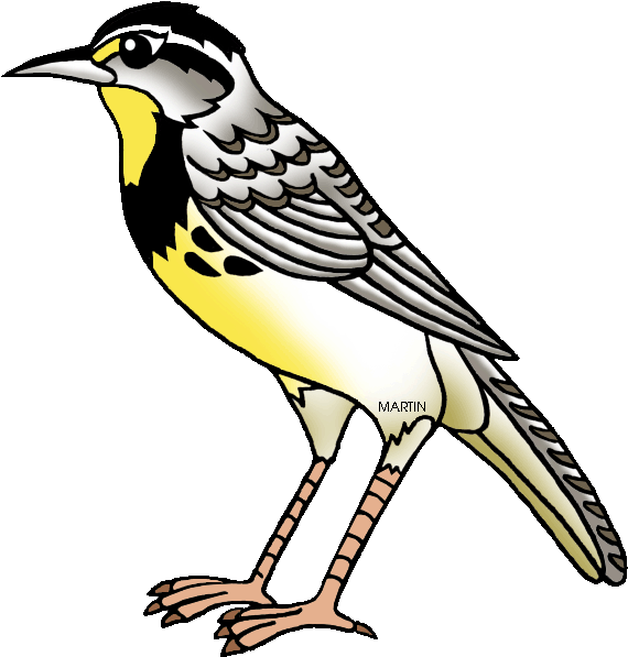 Nebraska State Bird - State Bird Of Kansas - Full Size PNG Clipart ...