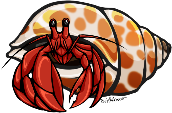Shell Clipart Hermit - Hermit Crab Clipart Transparent - (622x408) Png ...