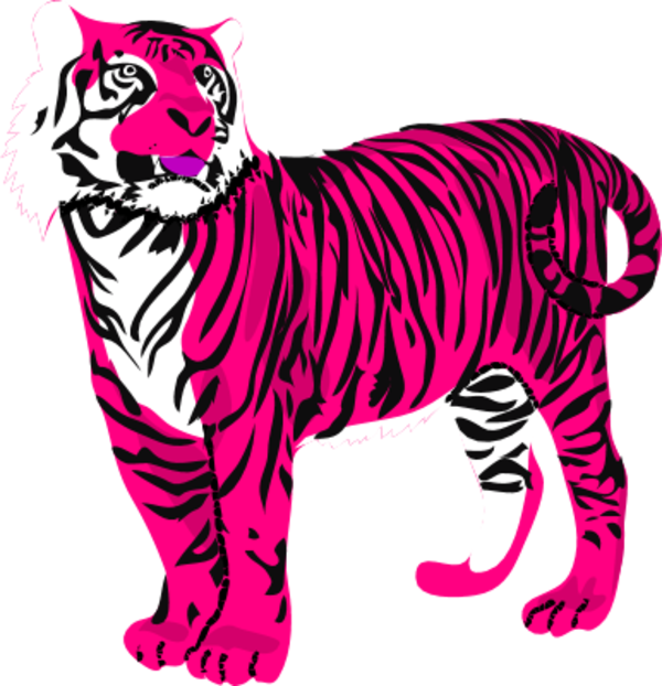 Tiger - Pink Tiger Clipart - (600x622) Png Clipart Download