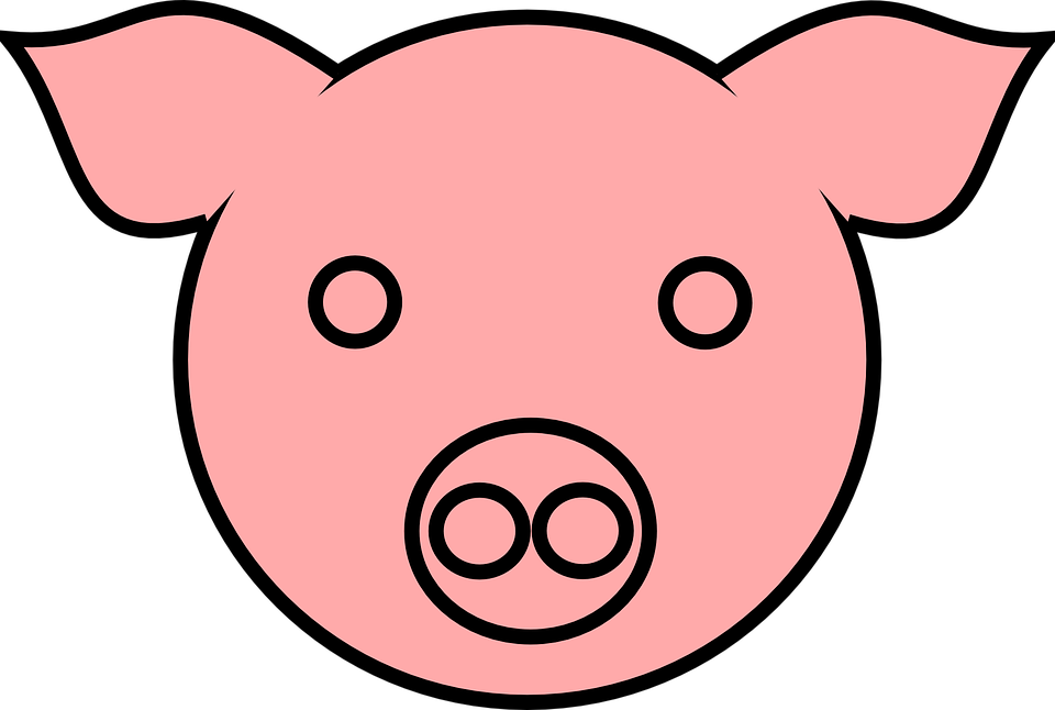 Pig 9 Clip Art - Pig Face Drawing - Full Size PNG Clipart Images Download