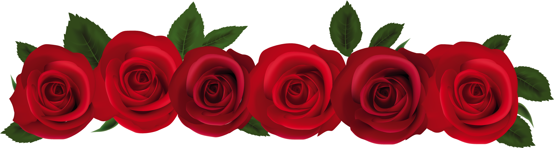 Rose Clip Art Border 9tpbdbj8c - Red Rose In Png - Full Size PNG ...
