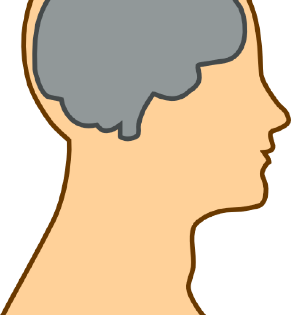 Mind Clipart Medical Diagram Of Brain Clip Art At Clker - Brain Clip ...