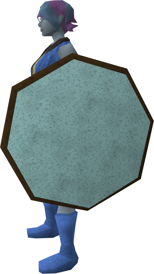 Mirror Shield Equipped - Shield - (507x901) Png Clipart Download