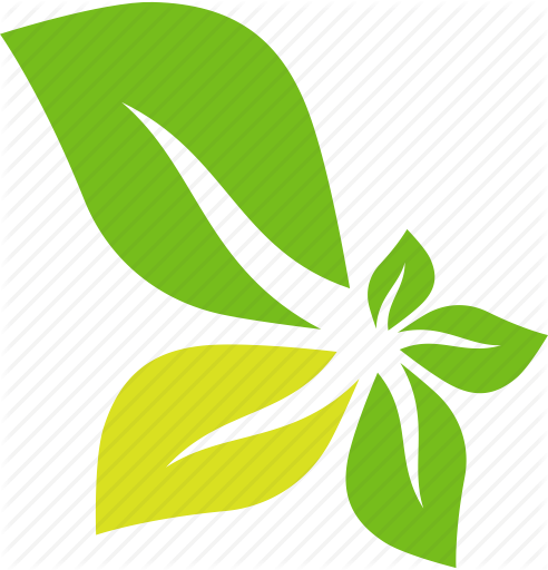 Abstract Flower Png - Leaves Icon Png - (492x512) Png Clipart Download