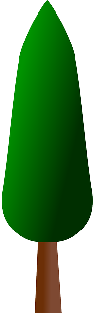 Forest Tree, Evergreen, Plant, Garden, Forest - Horticulture - (320x640 ...