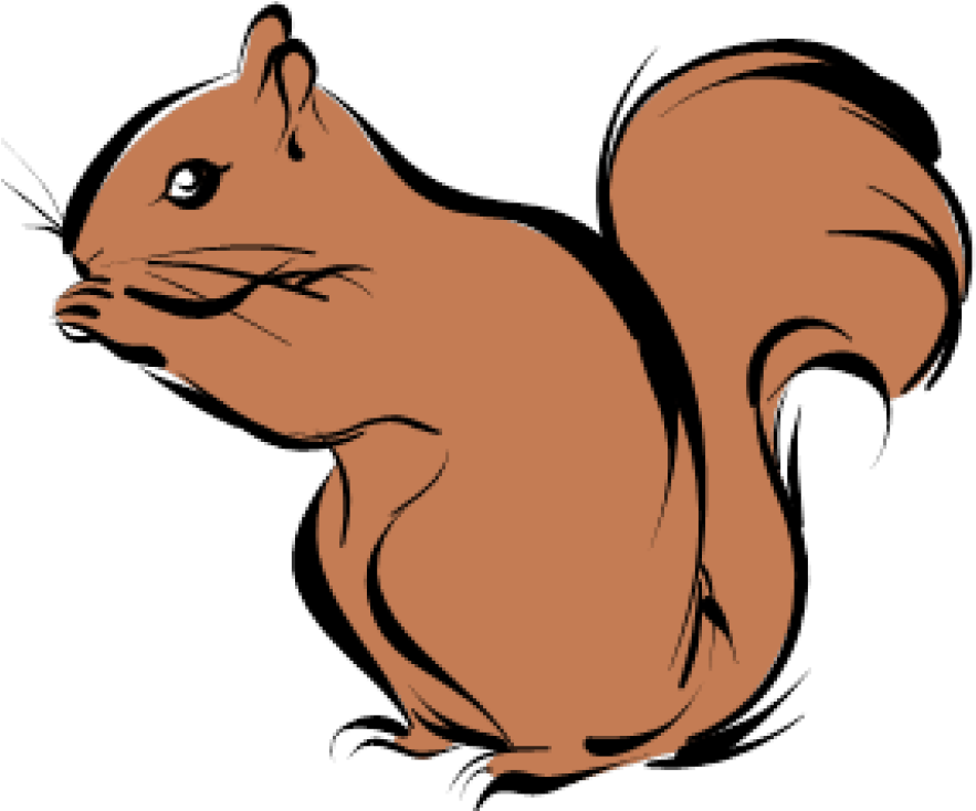 Squirrel Class - Printable Animal Targets - Full Size PNG Clipart ...