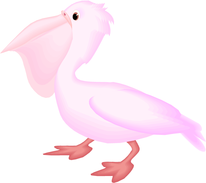 Pelican Clip Art - Clip Art - (750x671) Png Clipart Download