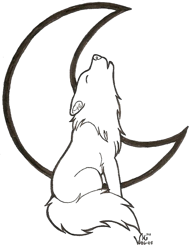 Line Art Wolf Head - Easy Drawings Of Wolves - (693x864) Png Clipart ...