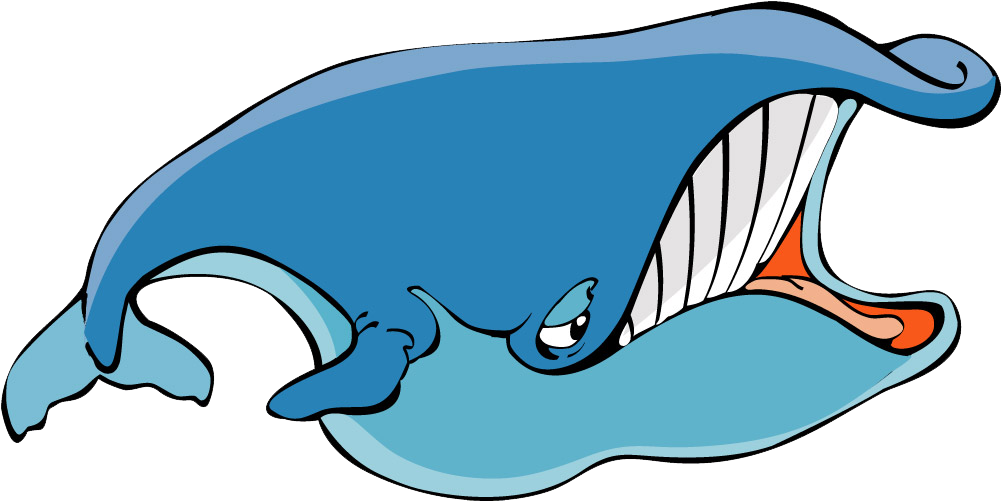 Dolphin Shark Marine Biology Clip Art - Dolphin Shark Marine Biology ...