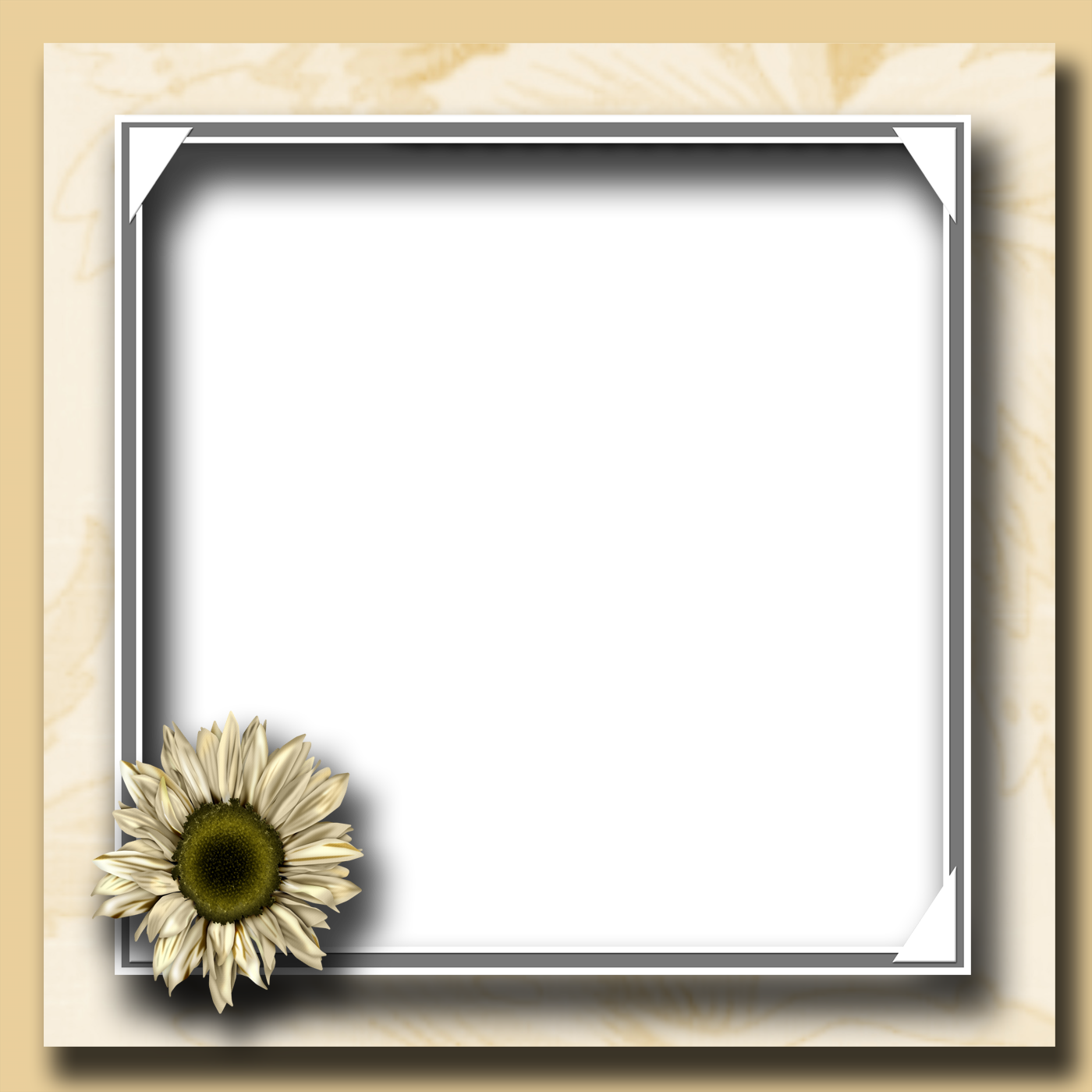 Ricaso Freebies - Flower Photo Frame - (1400x1400) Png Clipart Download