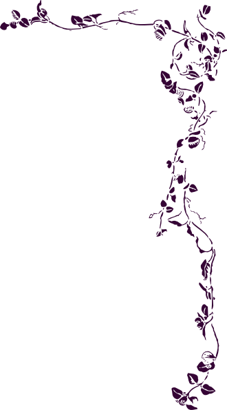 Rustic Wedding Borders Clipart - My Name Is Baylee - (330x596) Png ...