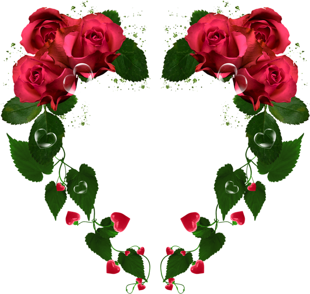 Red Roses Frames - Ruze Ruze Gif Gifs - (650x651) Png Clipart Download