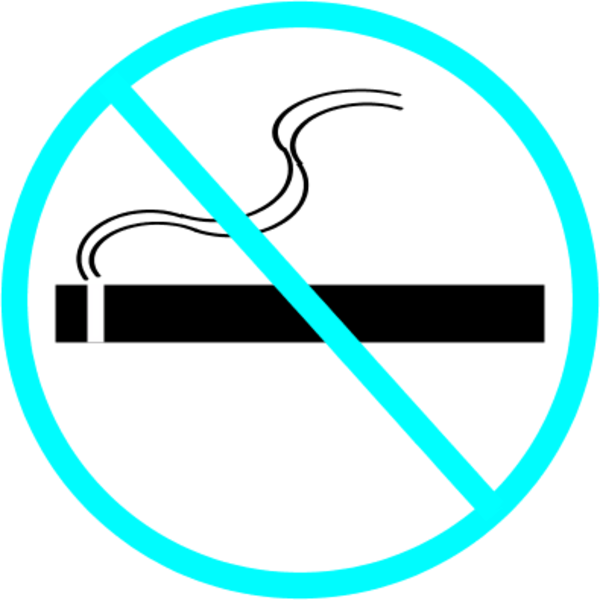Smoking Allowed Sign Vector Clip Art - No Smoking - (600x600) Png ...
