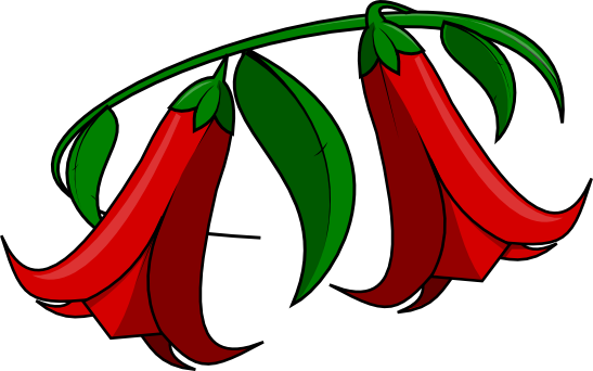 El Copihue Chileno - Copihues Dibujo - (547x342) Png Clipart Download