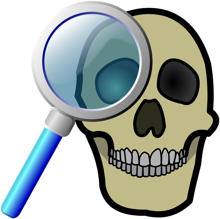 Picture - Skull - (800x800) Png Clipart Download