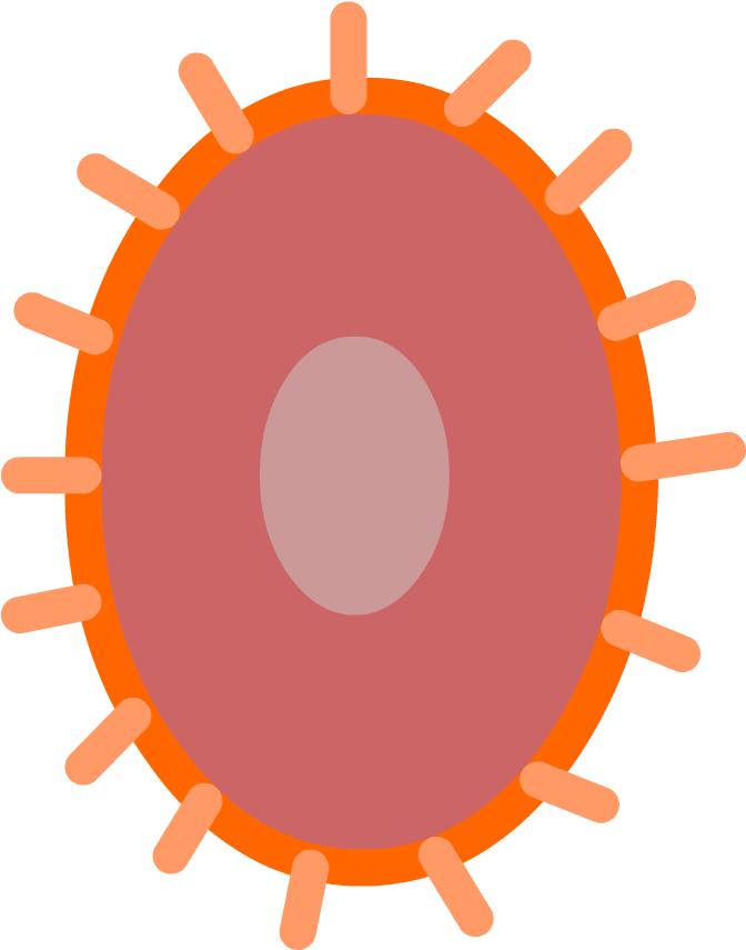 Immune System - Science - (880x880) Png Clipart Download