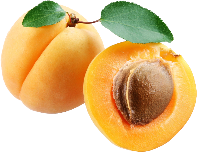 Apricot Png - Apricot Png - Full Size PNG Clipart Images Download