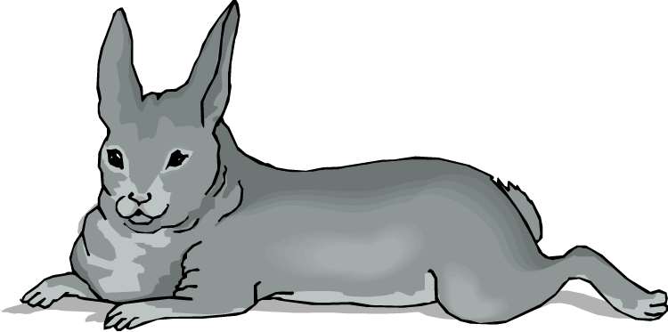 Gray Rabbit - Clip Art - (750x373) Png Clipart Download