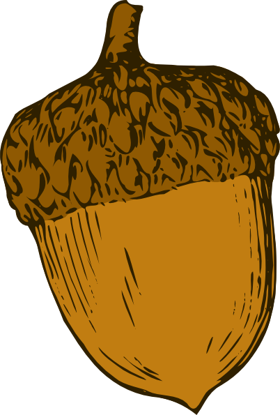 Acorn Clipart Simple - Acorn Clip Art .png - (402x595) Png Clipart Download
