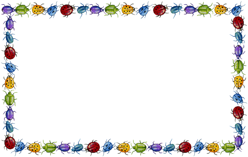 Fun Border 3, Buy Clip Art - Insect Border Clip Art Png - (960x644) Png ...