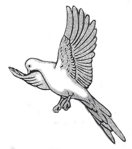 Loggerhead Shrike - (480x509) Png Clipart Download