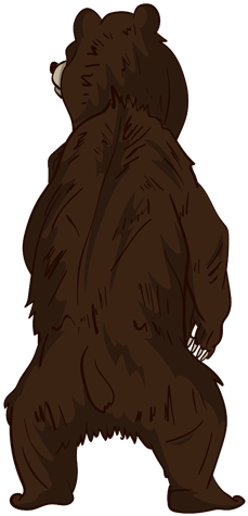 Standing Bear Rear View Cartoon Transparent Png - Oso Dibujo - (512x512 ...