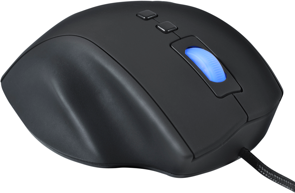 5k Front Right - Mouse - (1024x768) Png Clipart Download