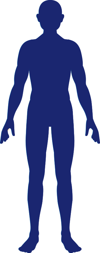 Conditions And Treatments - Human Body - Full Size PNG Clipart Images ...