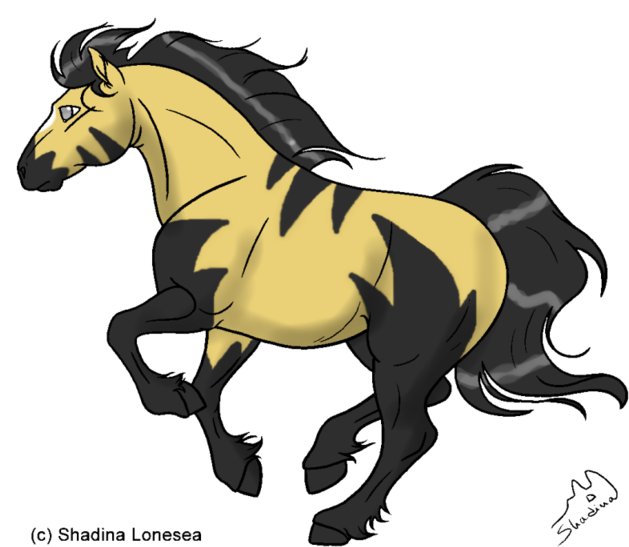 Image - Stallion - (640x555) Png Clipart Download