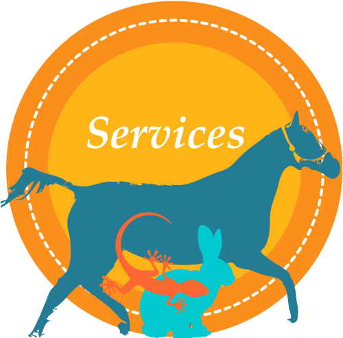 Other Horses May Not Show Noticeable Signs, Because - Other Horses May ...