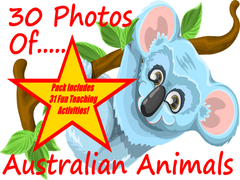 30 Photos And Images Of Australian Animals Powerpoint - Koala ...