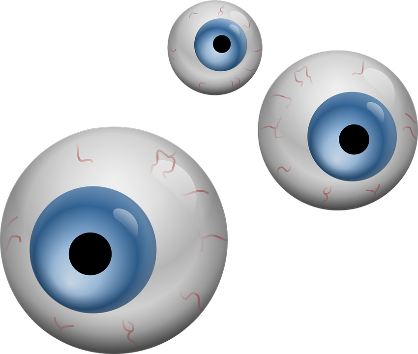 Free Eyeball Clipart - Eyeballs Clipart - (850x720) Png Clipart Download