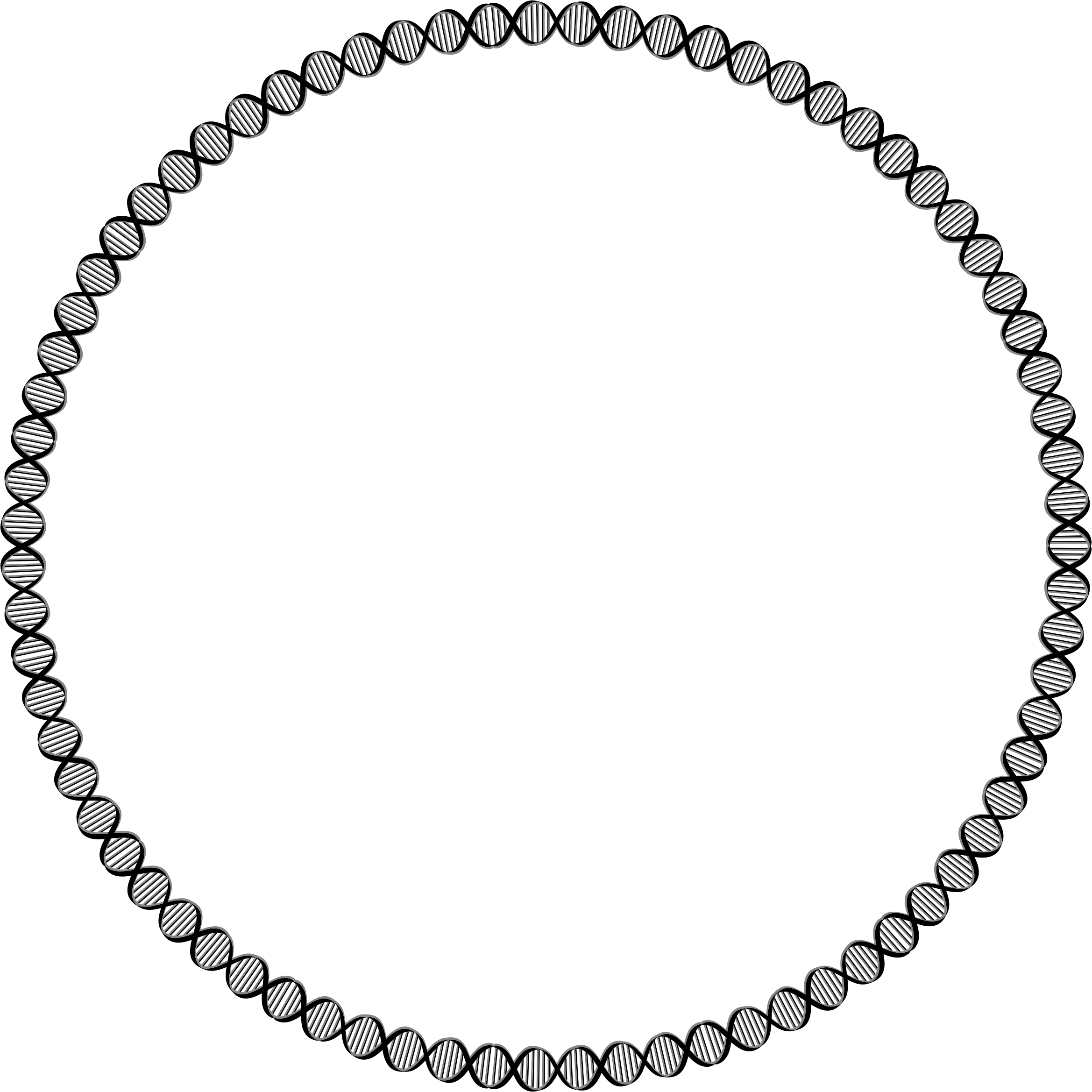 Big Image - Chain Circle Vector Png - Full Size PNG Clipart Images Download