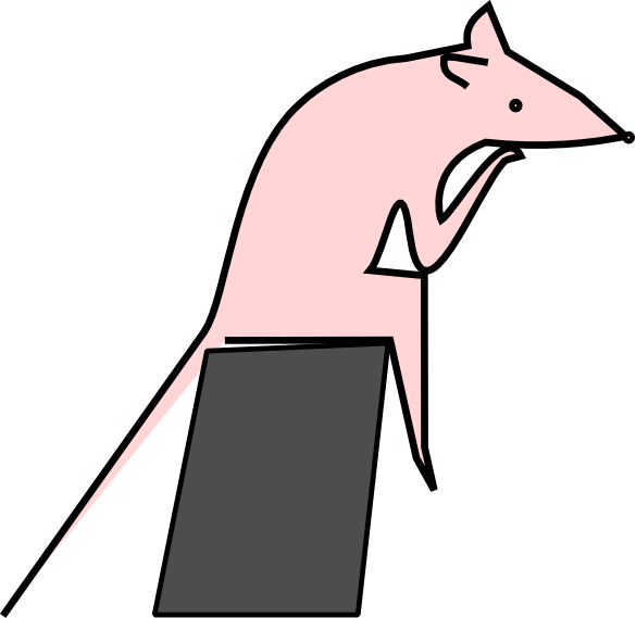 Main Page Me Thinking - Bacteria - (585x569) Png Clipart Download