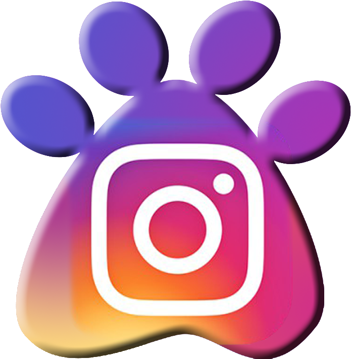 High Resolution Instagram Logo High Res - (729x732) Png Clipart Download