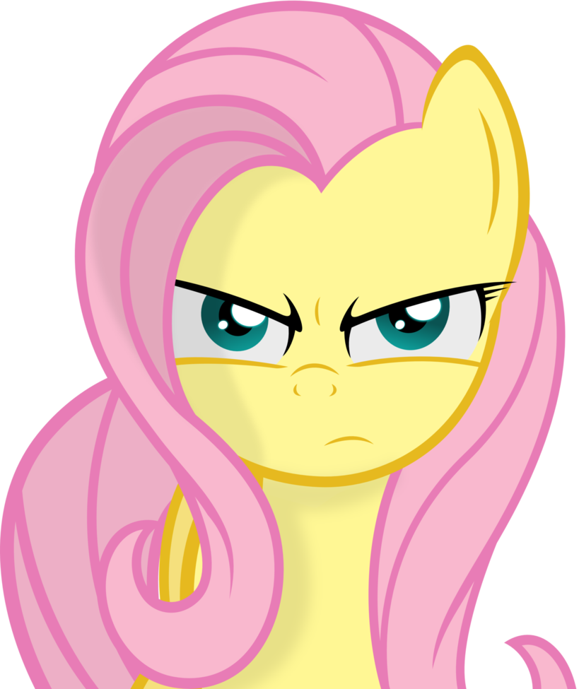 Serious Face Clipart - Mlp Fluttershy Face - (819x975) Png Clipart Download