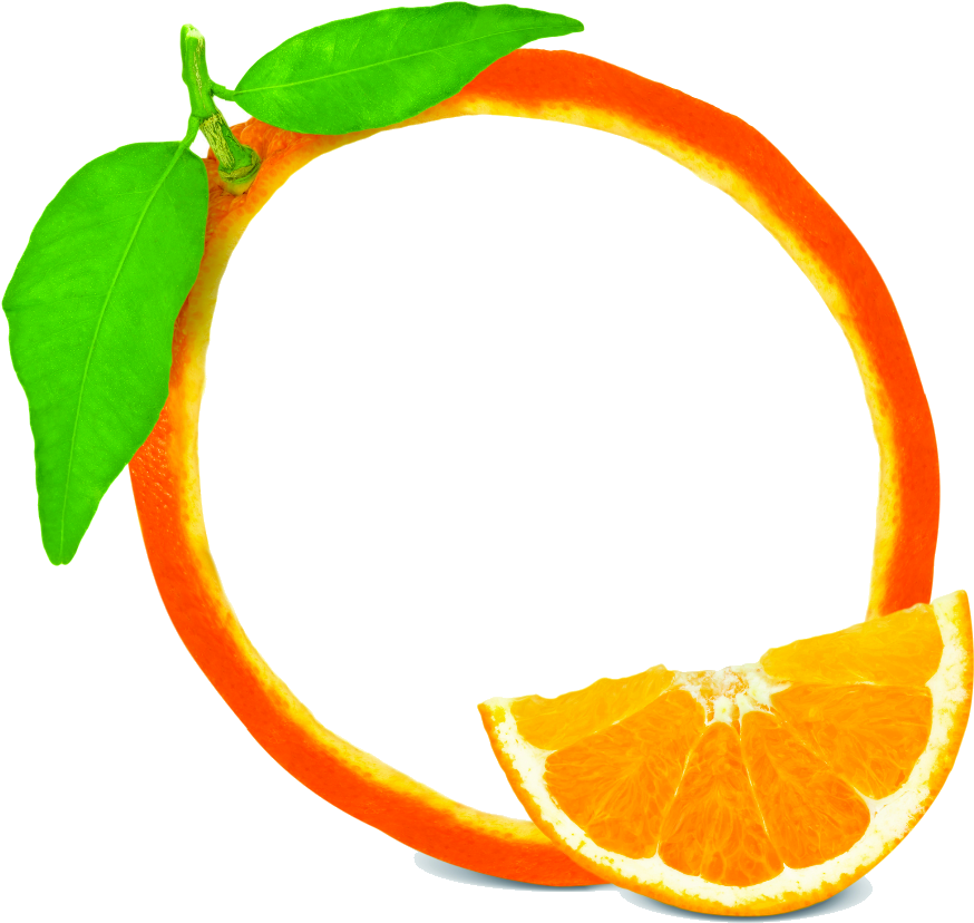 Fruit Frame - Orange Fruit Photo Frame - (994x917) Png Clipart Download