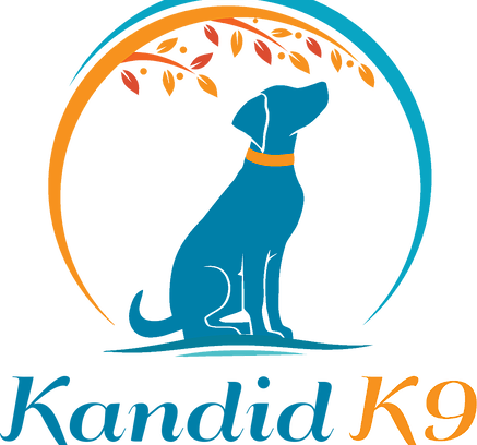 Puppy Classes - Dog Training - (437x408) Png Clipart Download