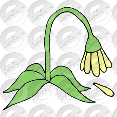 Wilt Picture - Illustration - (380x380) Png Clipart Download