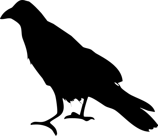 Raven Silhouette - Raven Clipart Silhouette - (526x452) Png Clipart ...
