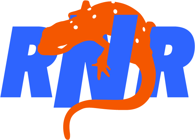 Racing - (695x530) Png Clipart Download