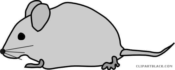 Gray Mouse Animal Free Black White Clipart Images Clipartblack - Maus ...