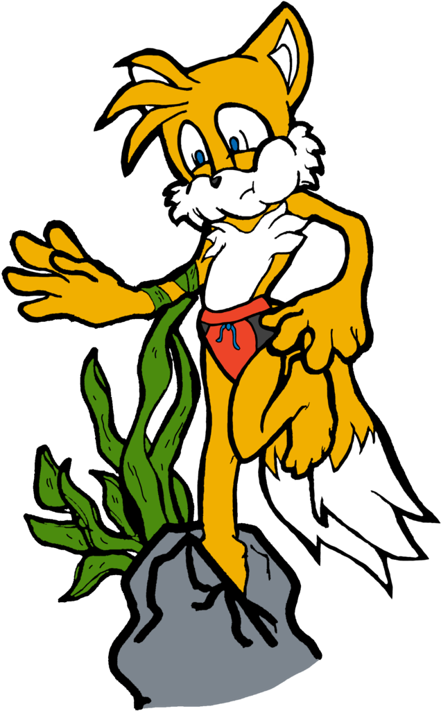Tails Struggles Coloured - Drawing - (730x1095) Png Clipart Download