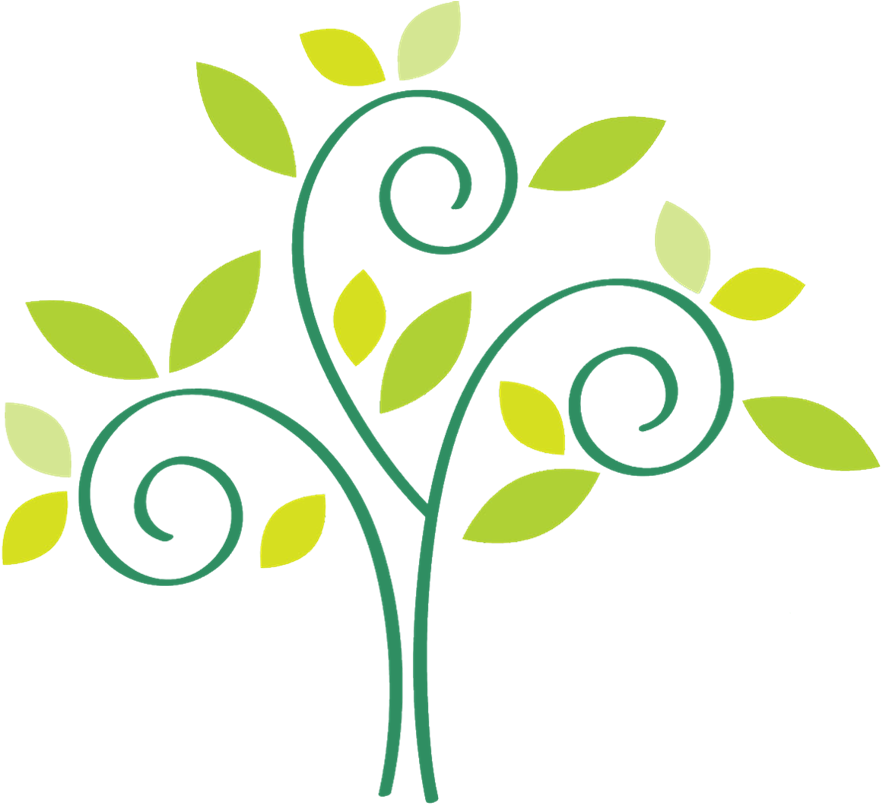 Tree - Tree - (892x892) Png Clipart Download