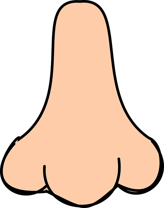 Animated Nose Clipart - Cartoon Nose - Full Size PNG Clipart Images ...