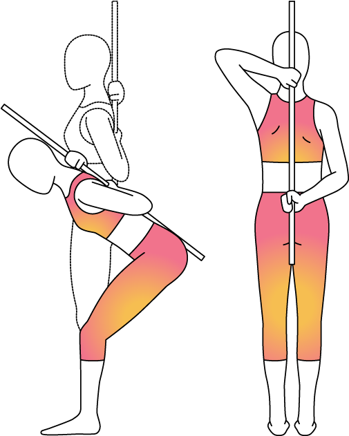 Begin Standing Up Straight With A Dowel Aligned Along - Cartoon ...