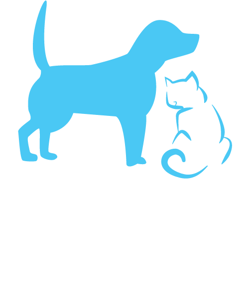 See Our Services - Dog - (501x637) Png Clipart Download