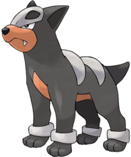 Flash Fire - Pokemon Dark Fire Type - (530x530) Png Clipart Download