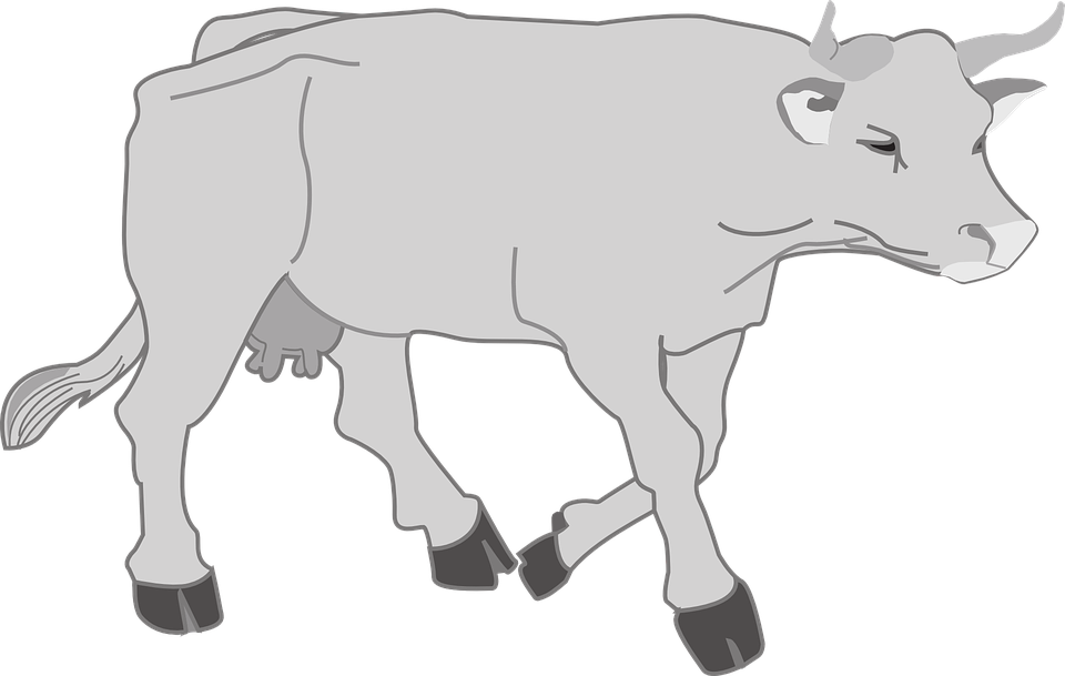 Animated Goats Cliparts 19, - Walking Cow Png - (960x609) Png Clipart ...